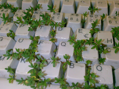 Robert Merva: Čo spôsobí nečinnosť v práci.