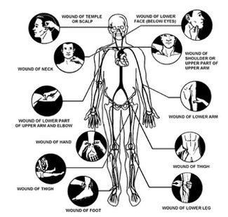 Self Defense For Women: Women's Self Defense - Vital Striking Areas