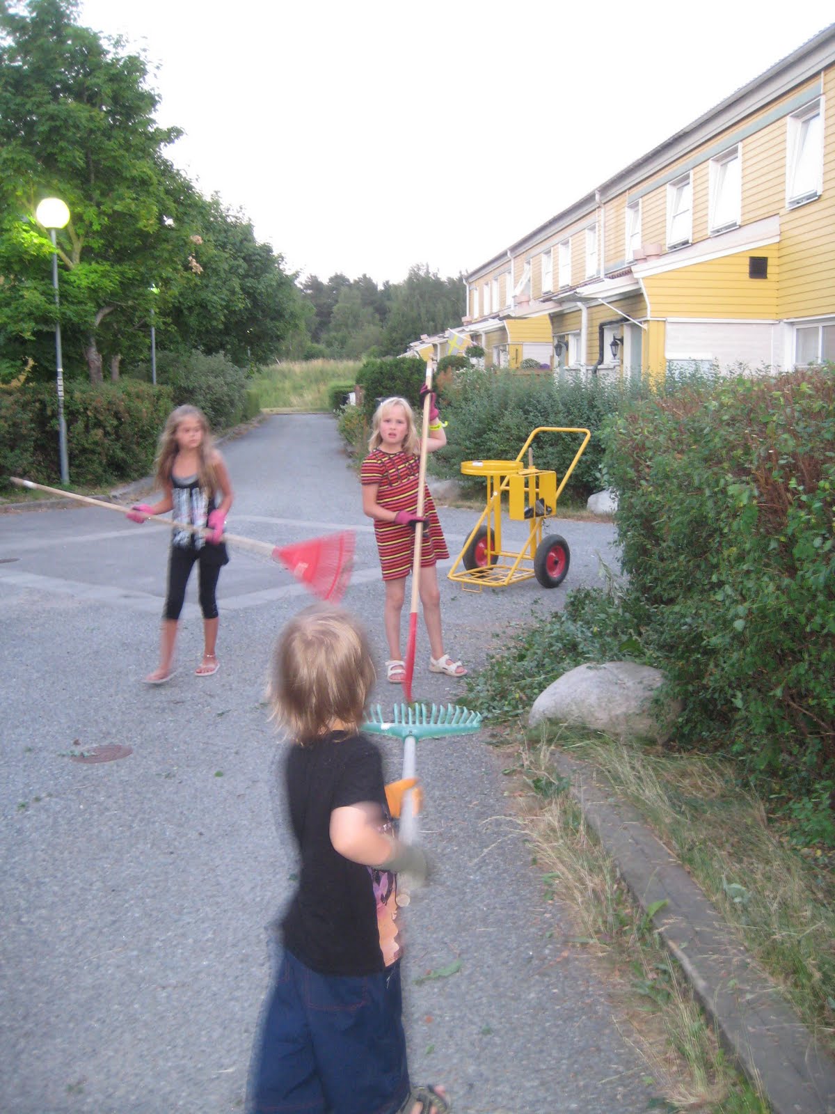 anne haavisto: Min buske