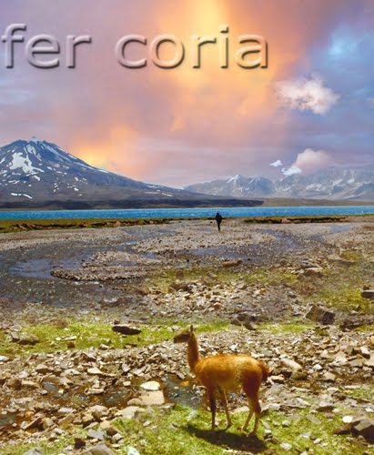 FERNANDA CORIA IMÁGENES