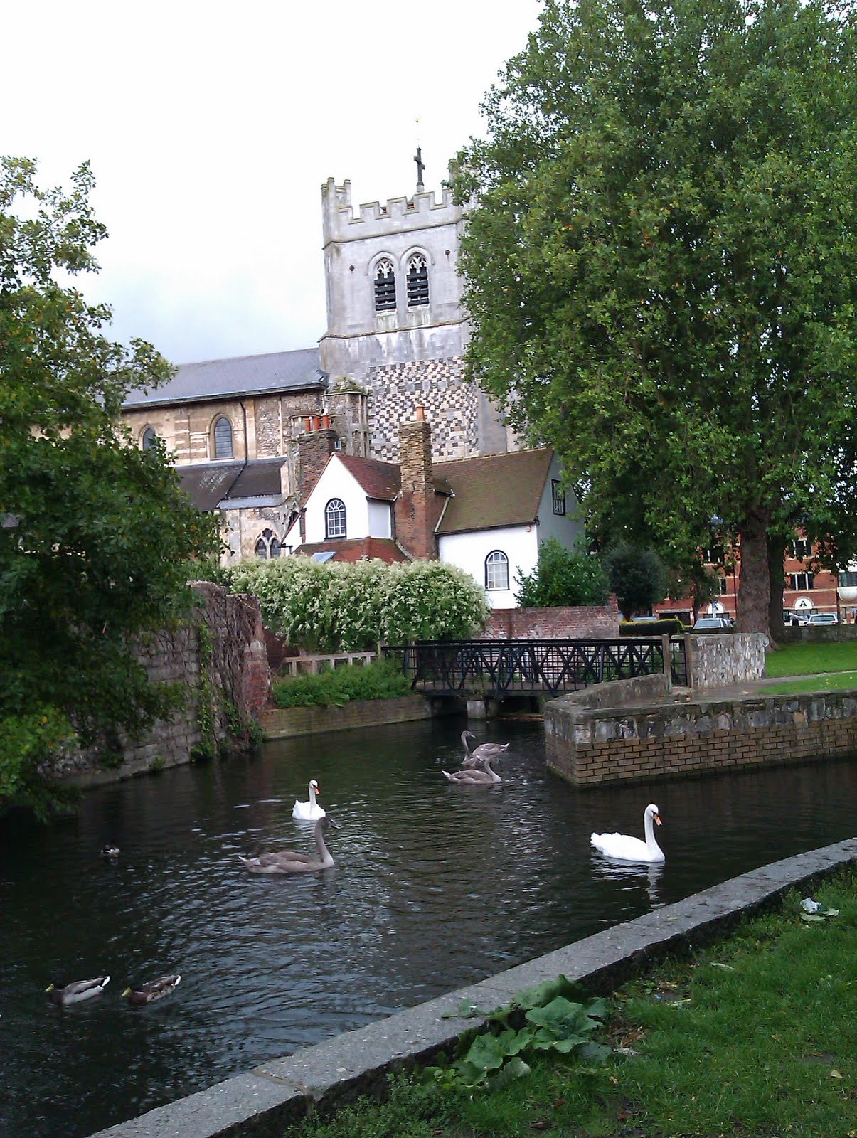 leave before the lights come on: Epping Forest bike ride!