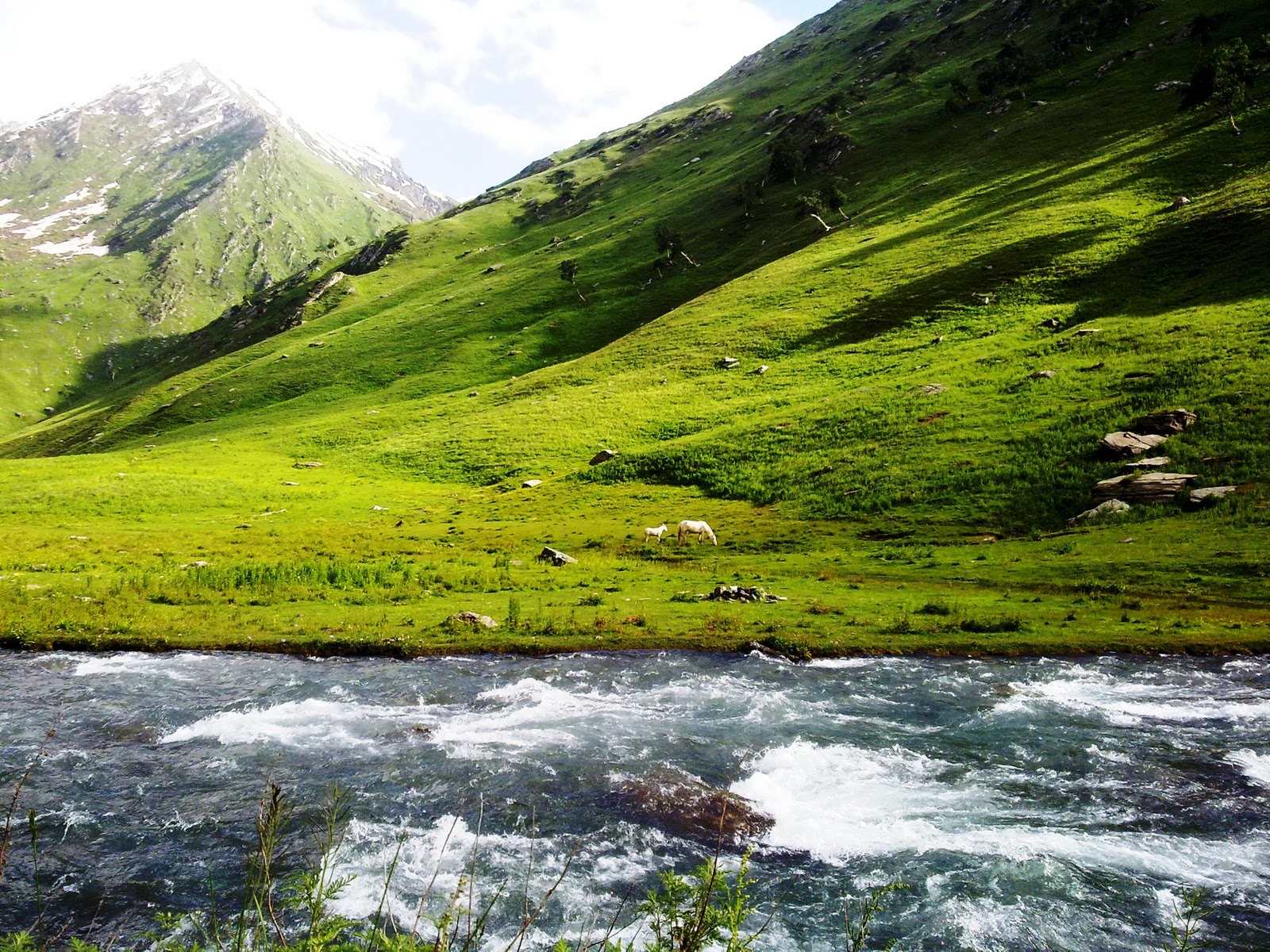 Tour to Autonomous Northern Areas of Pakistan: Tour from Rattu to Kalapani