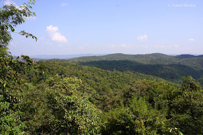 Nature India: Bhimashankar - The Sacred Forest (12th to 14th Dec'08)