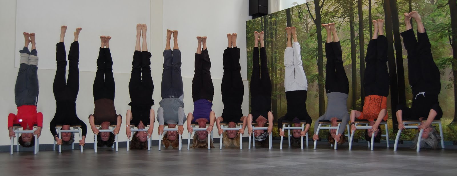 Critical Alignment Yoga en Therapie: Eerste bijscholing groep Critical ...