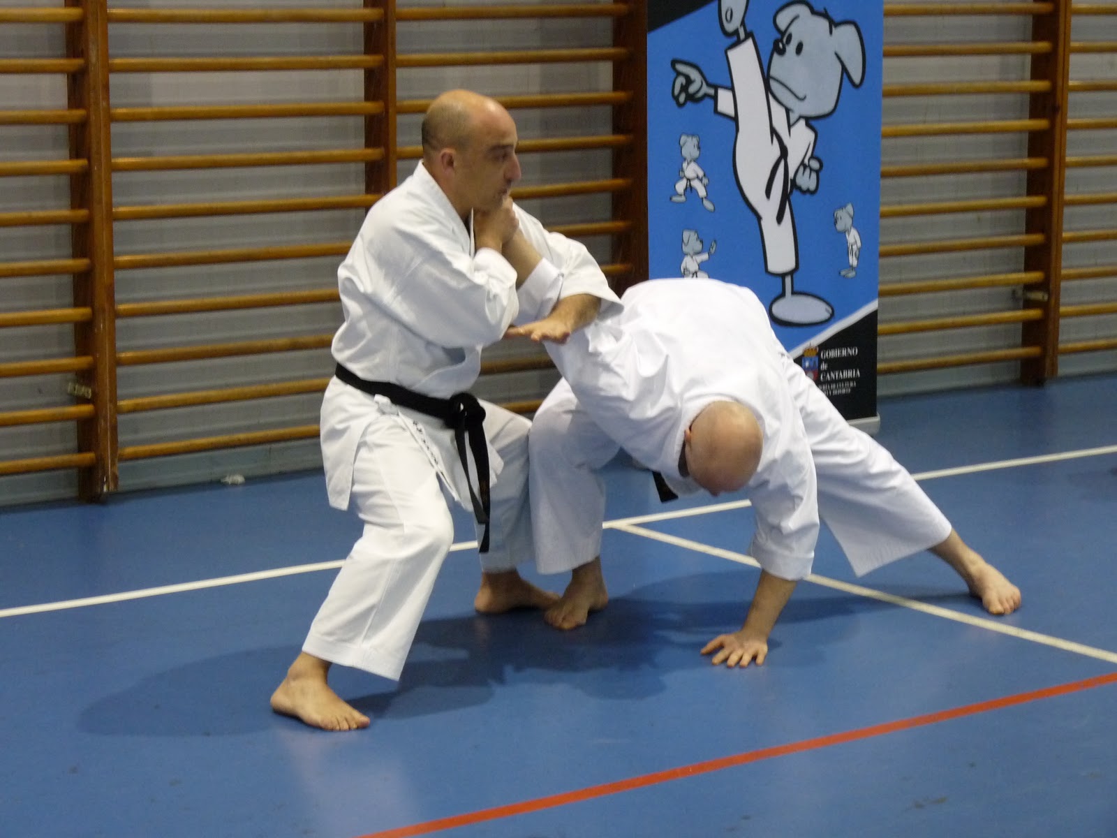 TAI-JITSU COLINDRES: ENTRENAMIENTO DE TAI-JITSU EN COMILLAS EL 15 DE ENERO