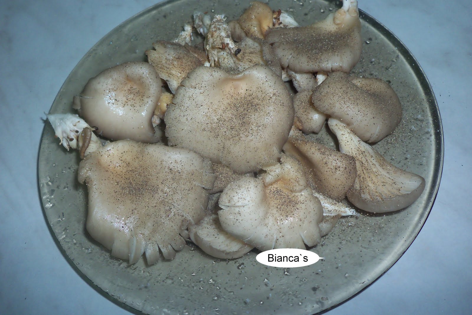 Ciuperci pleurotus pane ~ Bucataria din casa mea.