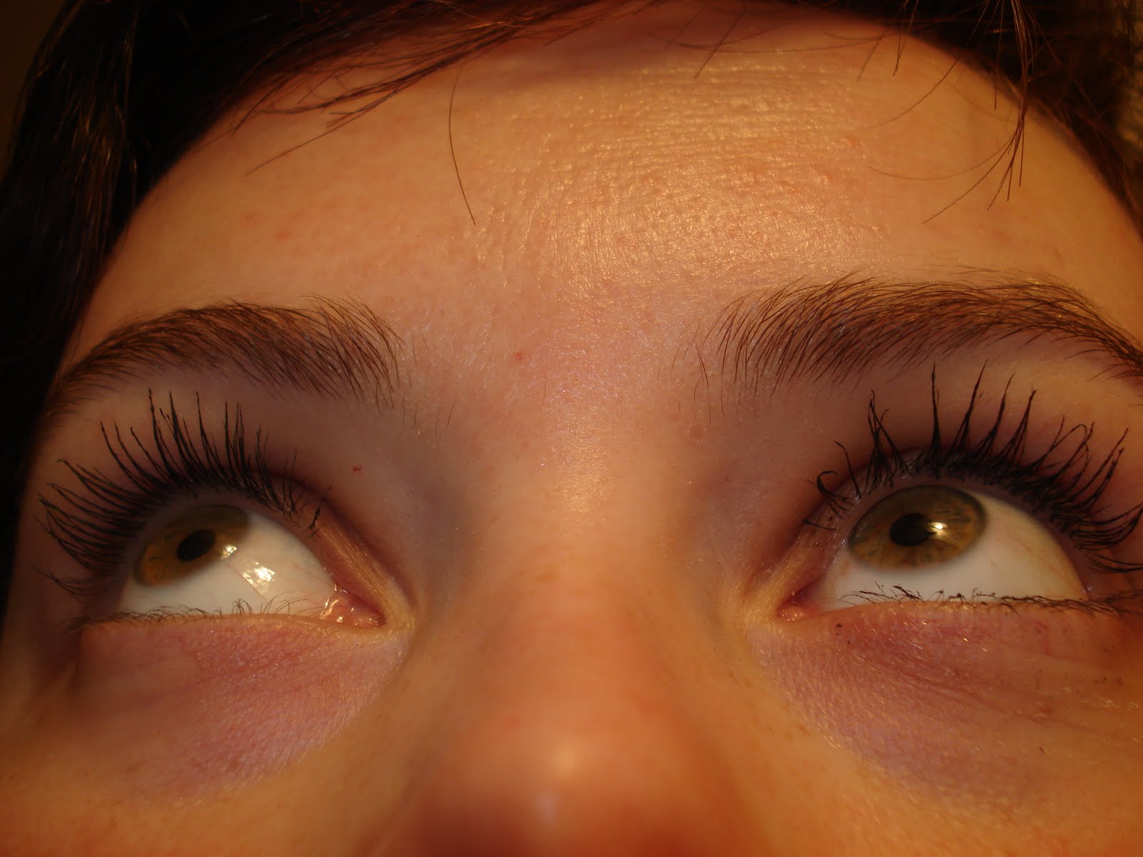 Productrater!: Review: Lash Blast VS. Lash Blast Fusion