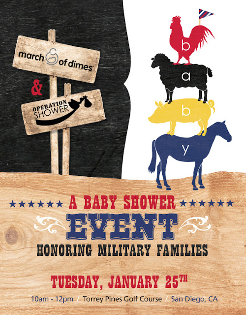 Operation Shower in San Diego - Paper and Cake