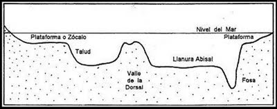 Relieve submarino del mar peruano | Geociencia