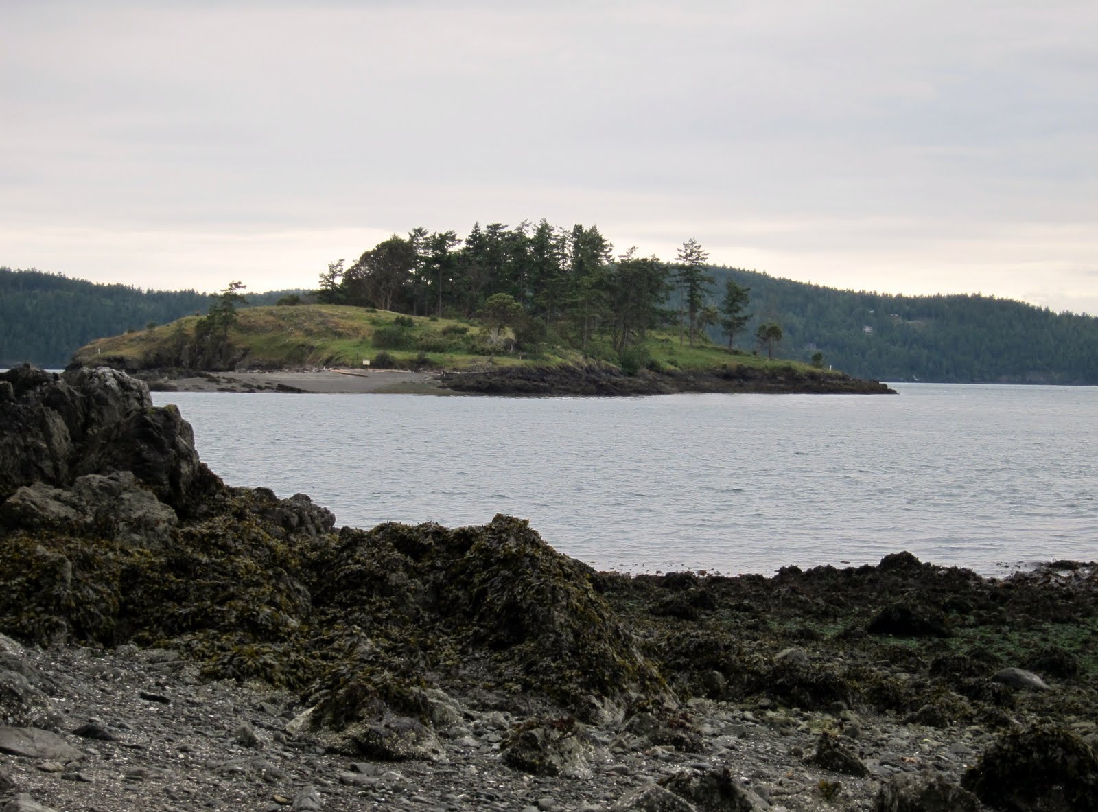 Pacific Northwest Seasons: Kayaking to Yellow Island: Wildflowers and ...