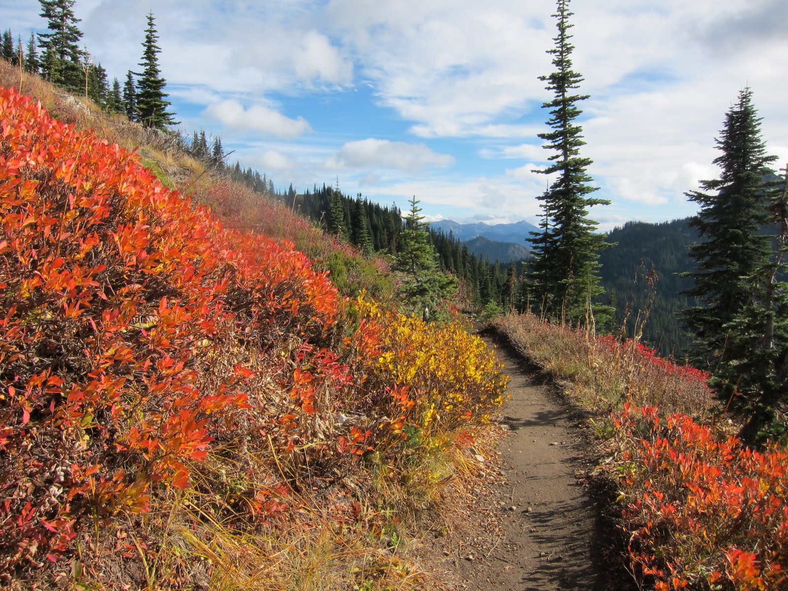 Pacific Northwest Seasons: Northwest Fall Road Trip: Hiking Naches Peak ...