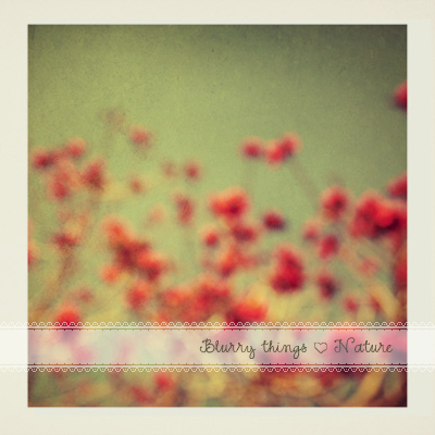 Blurry things – 79 ideas