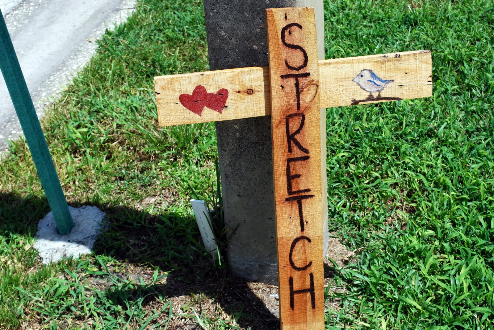 Kara's Korner: Remembering Stretch The Bird