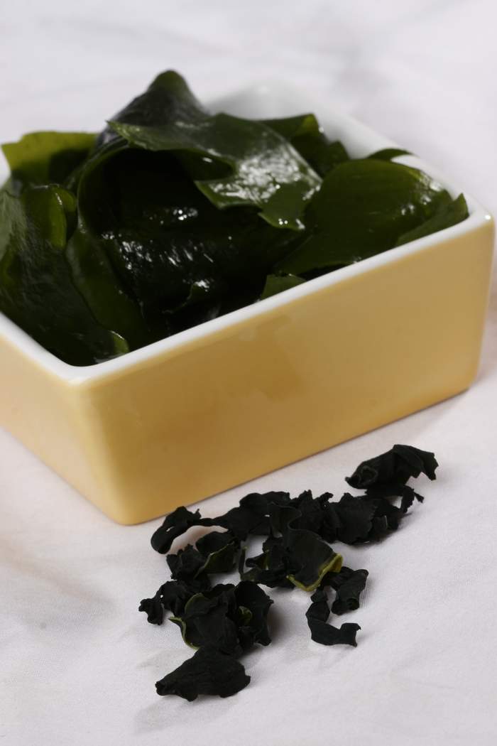 PERIKANAN UGM 2010: Hasil olahan rumput laut