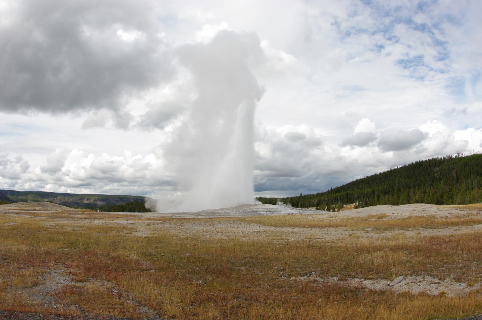 Green Blazing: Yellowstone National Park, MT/WY/ID