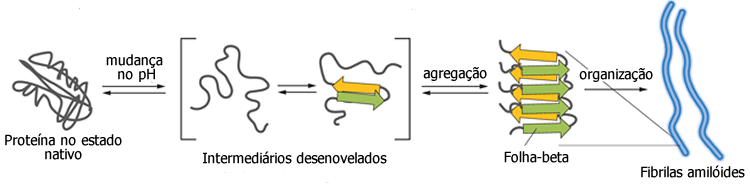 Alimentos e Nutrição - processamento e alterações. Produtos de glicação ...