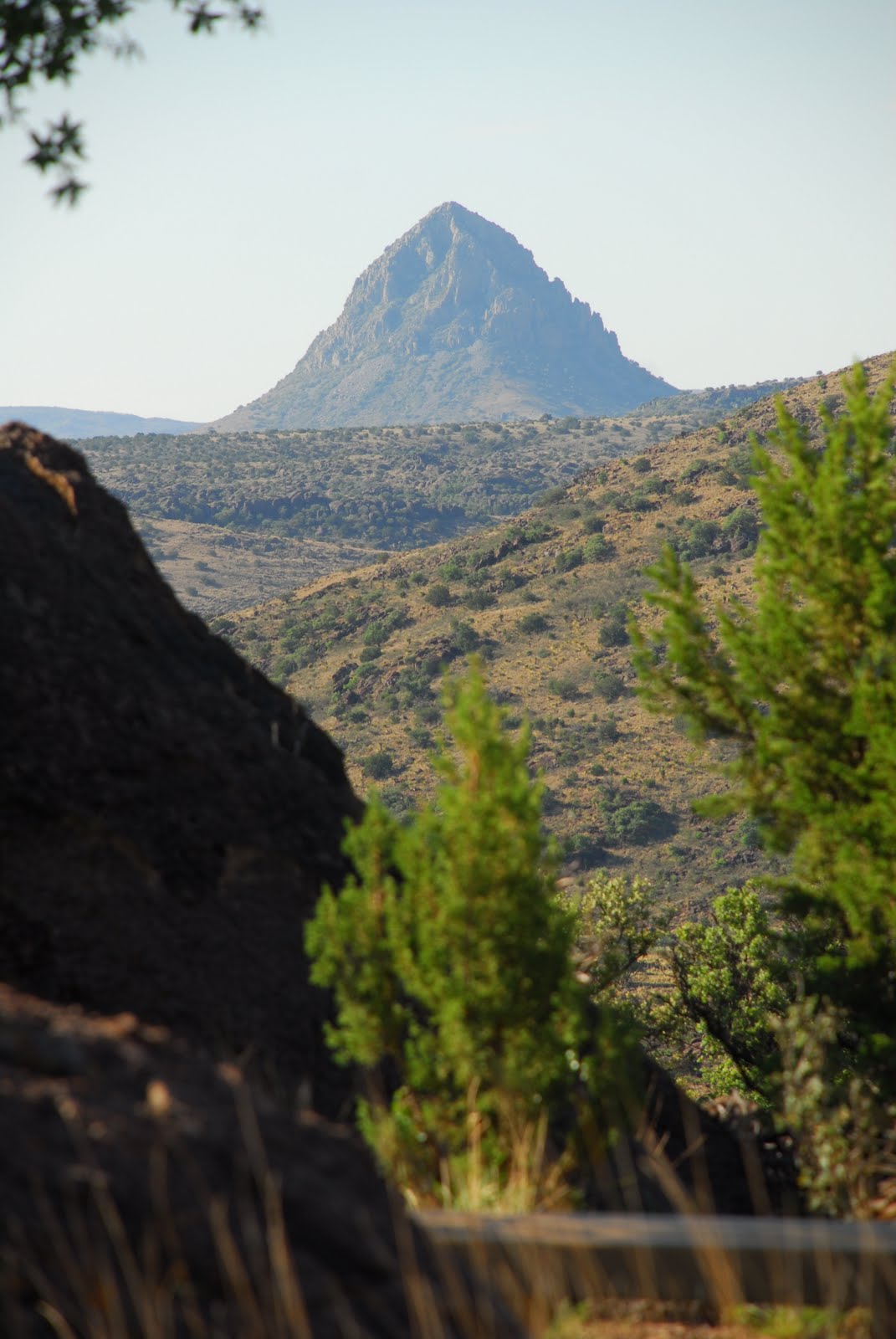 Texas Mountain Trail Daily Photo: Scenes from the Hummingbird and ...
