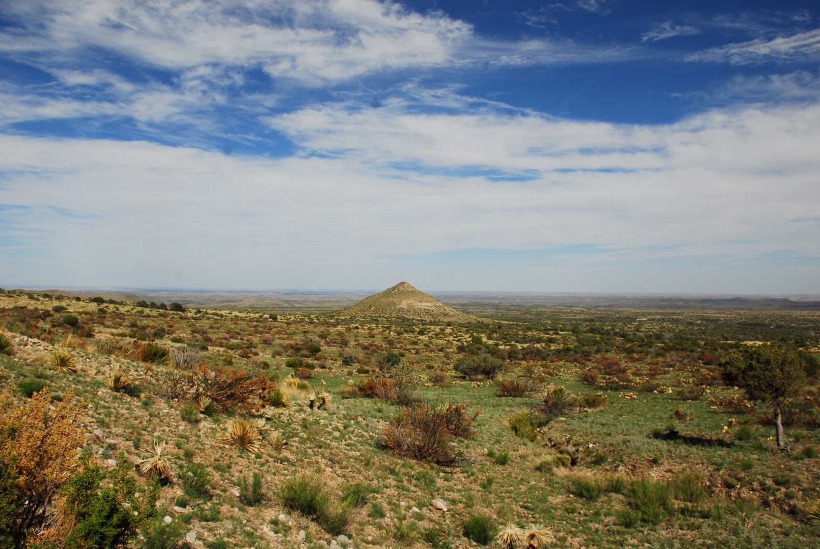 Texas Mountain Trail Daily Photo: Desert Floor View from Smith Spring Trail