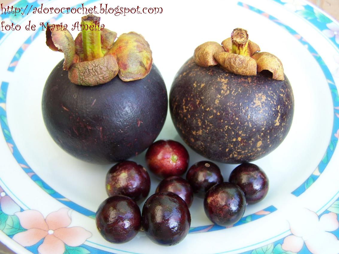 MANGOSTIN ou MANGOSTÃO - A RAINHA DAS FRUTAS TROPICAIS. | Tudo sobre tudo