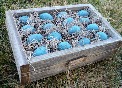 Crafty Sisters: Egg Crate