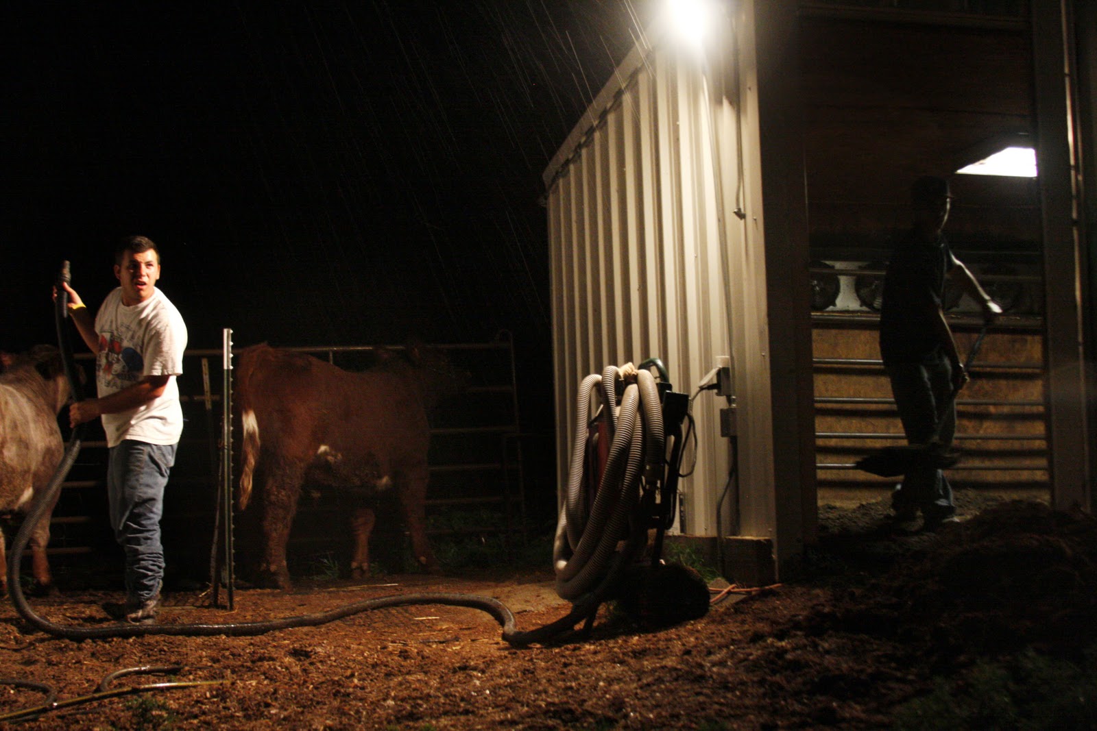 Living Through Images