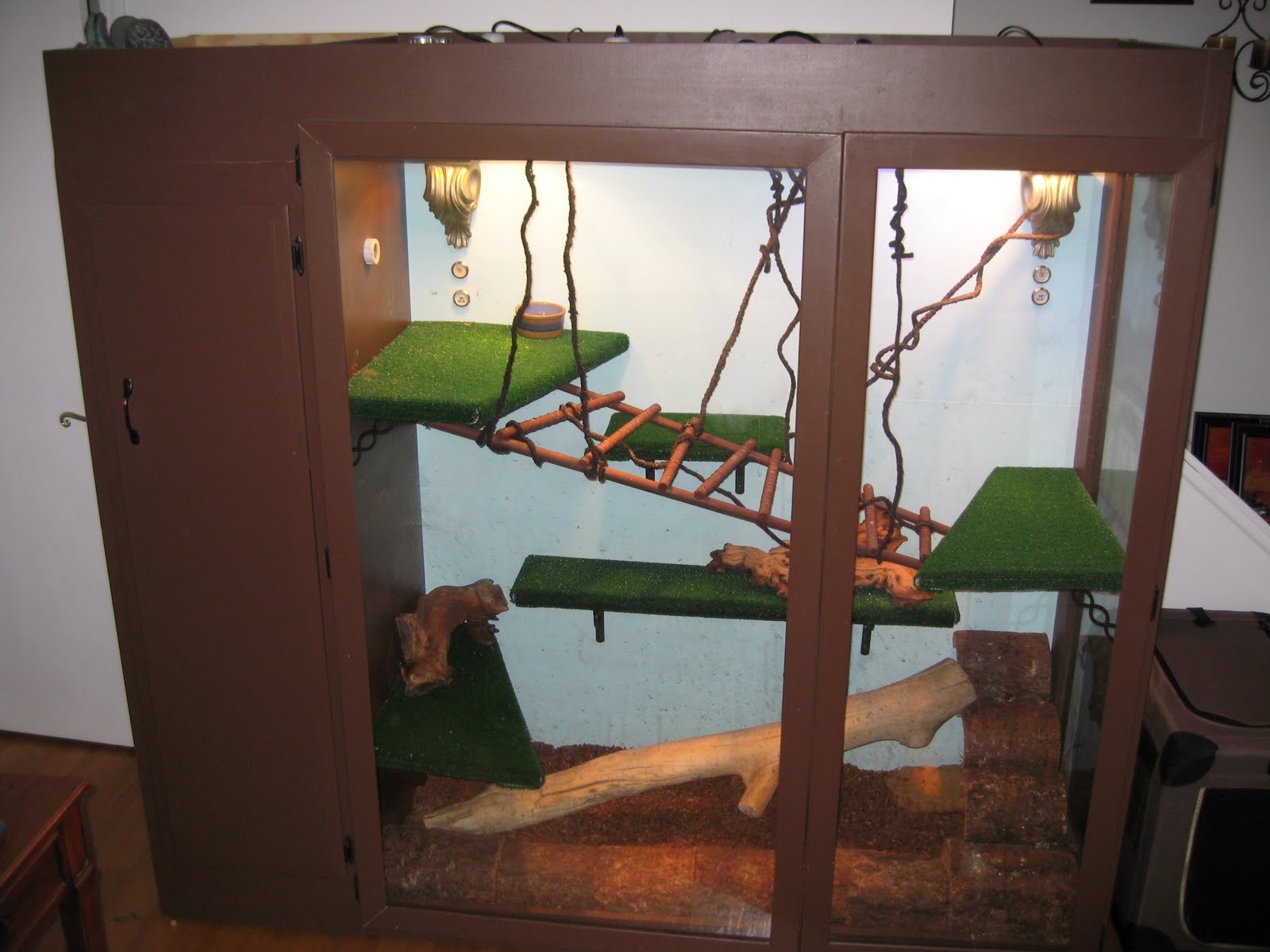 1000+ images about Mr. Marley's world (my green iguana) on Pinterest ...