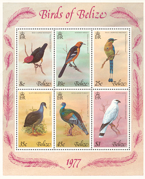 KUALA SKYLAB: BELIZE STAMP SHEET. BIRDS OF BELIZE. YEAR 1977.