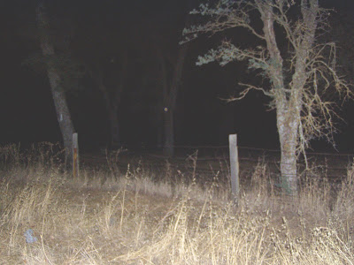 That's just not right!!: Dyer Lane hauntings - The Investigation