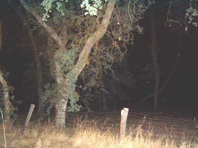 That's just not right!!: Dyer Lane hauntings - The Investigation