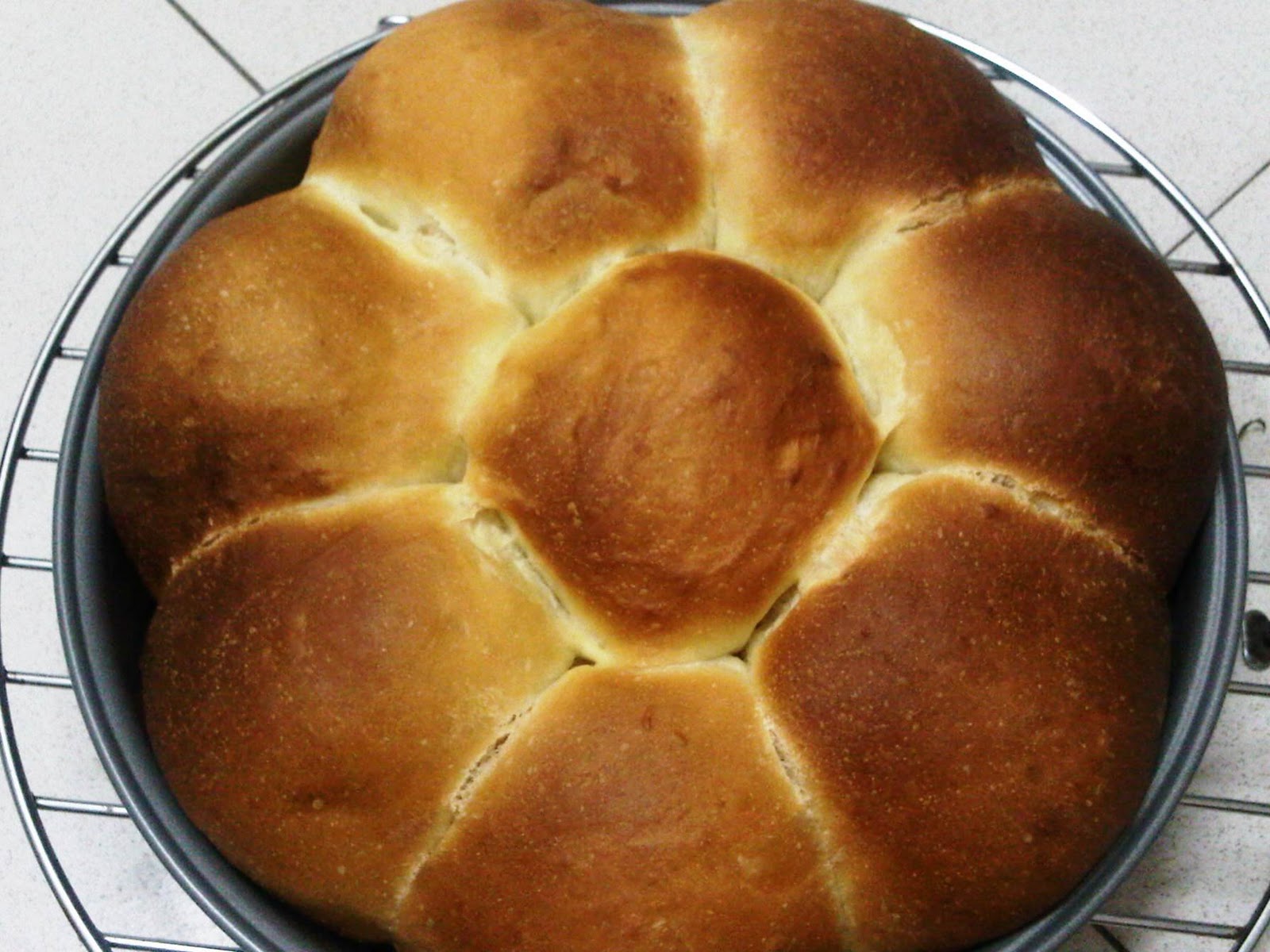 the journey has begun: Roti Paun