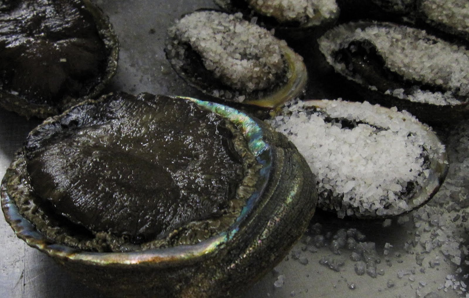 To Market, To Market with San Diego Foodstuff: Wild Abalone