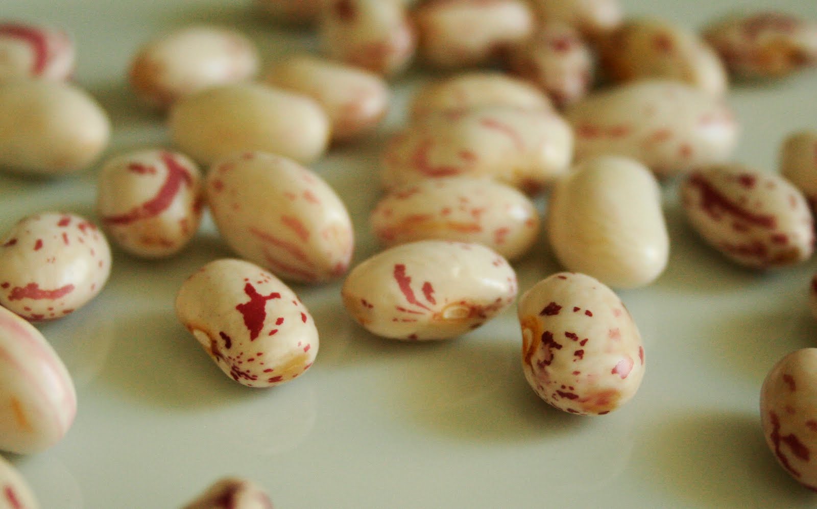 To Market, To Market with San Diego Foodstuff: Summer Fest 2010: Week 3 ...