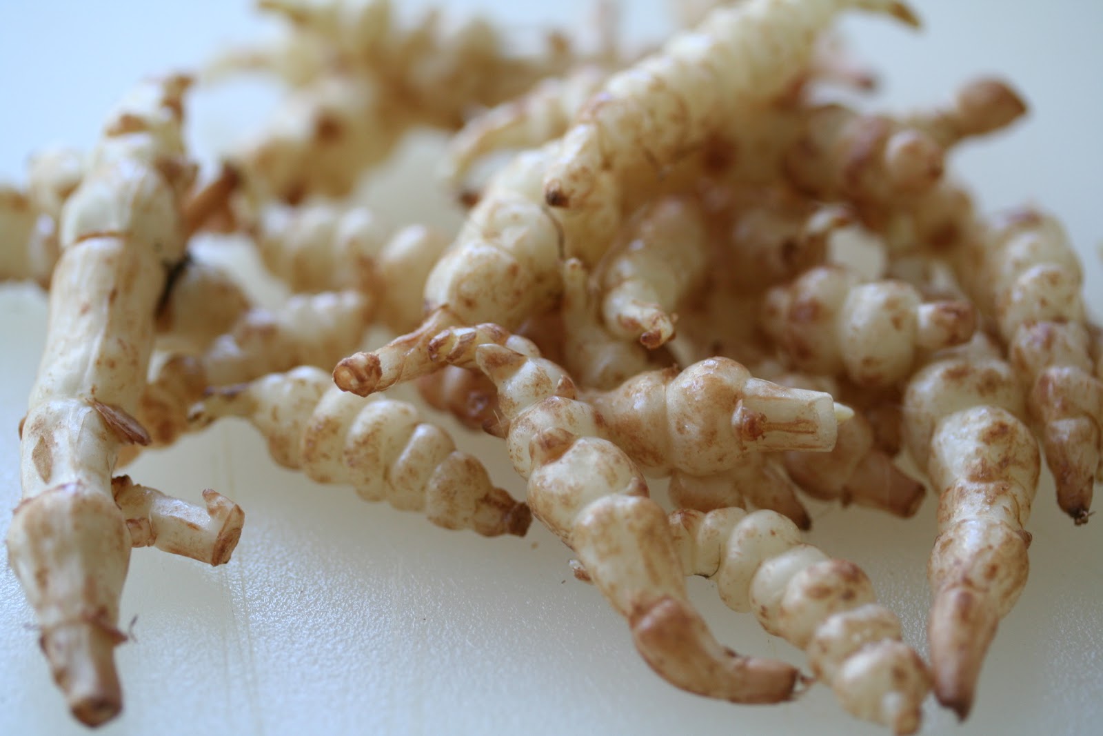 To Market, To Market with San Diego Foodstuff: Ode to the Crosne