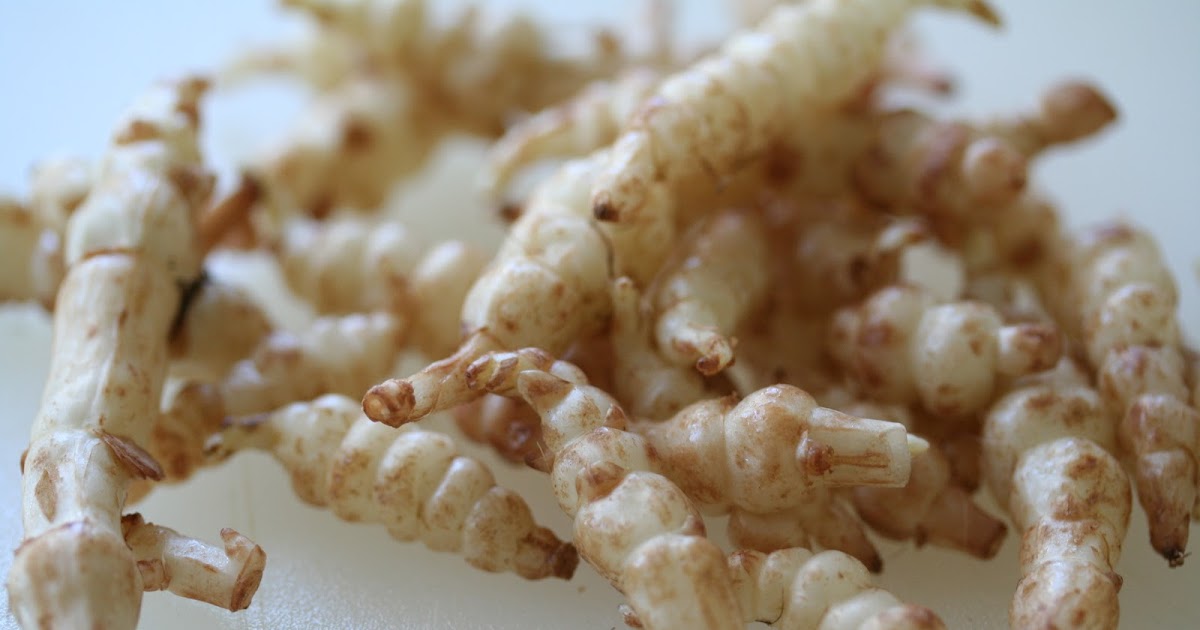 To Market, To Market with San Diego Foodstuff: Ode to the Crosne