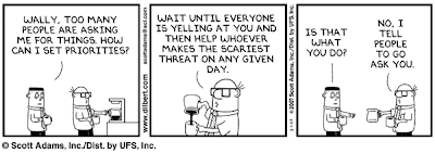 and things + Kitty diary: Asok the intern