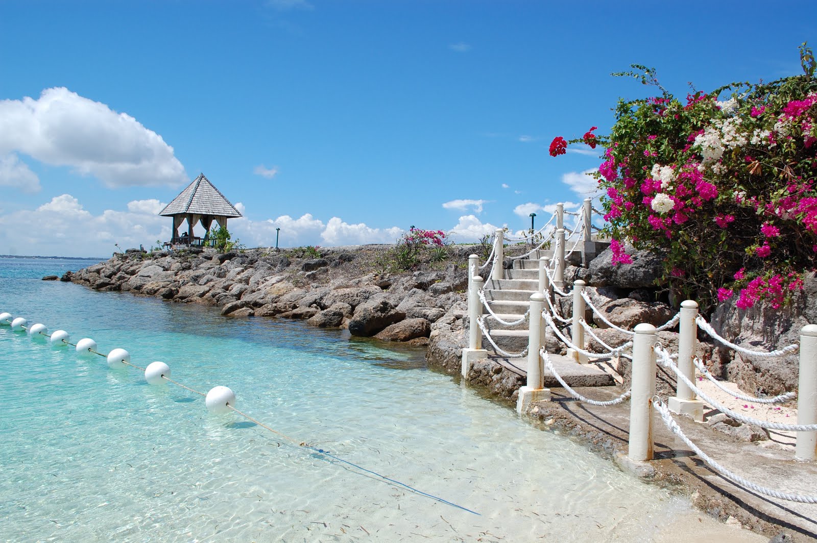 Our Yuppie Life: Cebu in living color