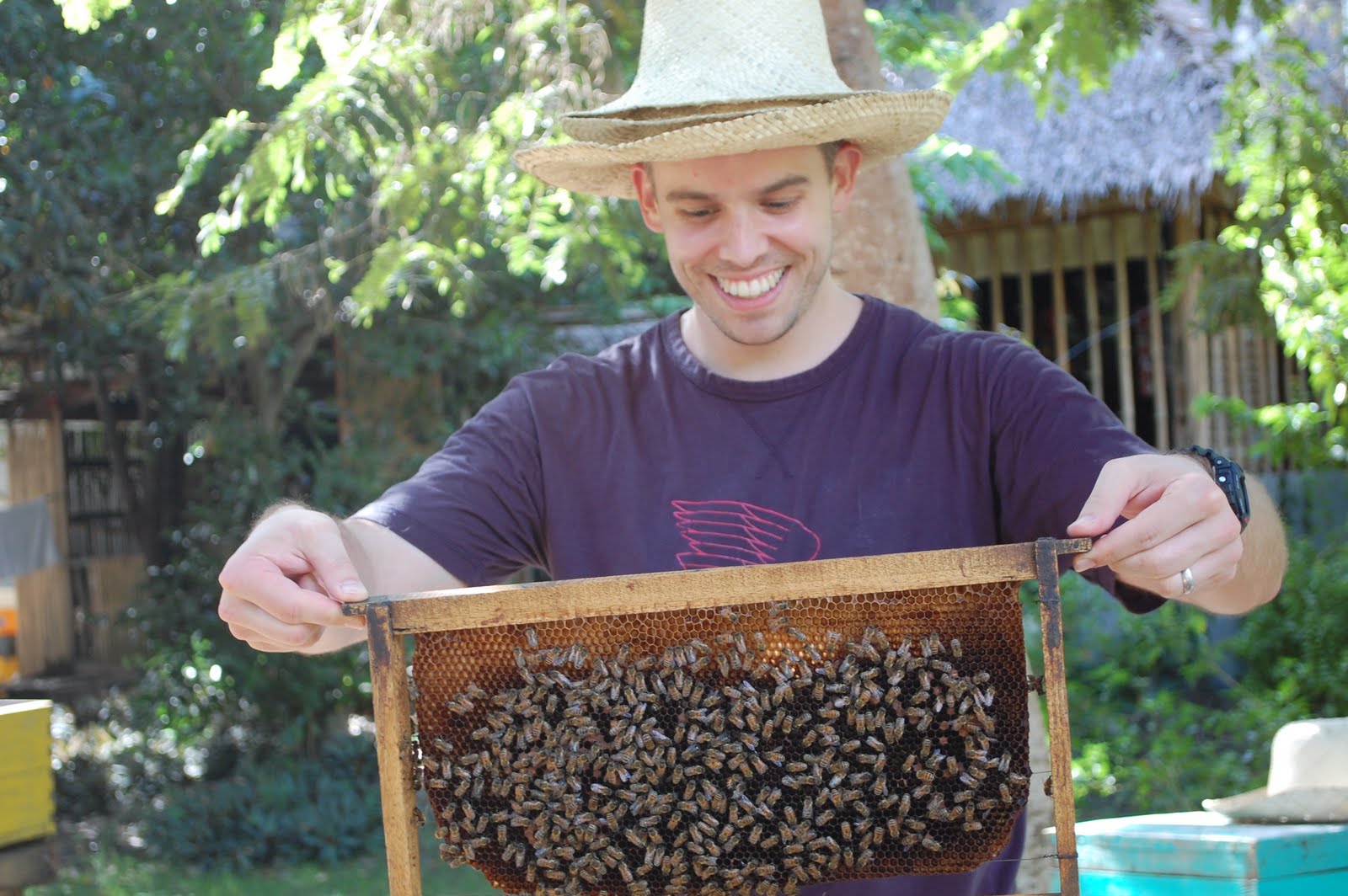 Our Yuppie Life: Bohol Bee Farm tour