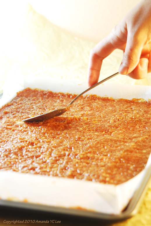 Playing with Food: Bak Kwa - Chinese BBQ Pork