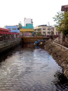 The Tokyo Professional: Cleaning Estero de Paco
