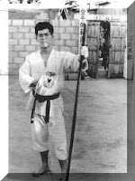 Isshinryu Europe: The emblem of Isshinryu karate