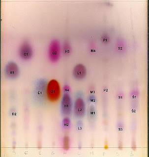 CHROMATOGRAPHY: PLANAR CHROMATOGRAPHY