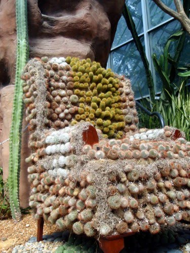 Cactus Furniture!?