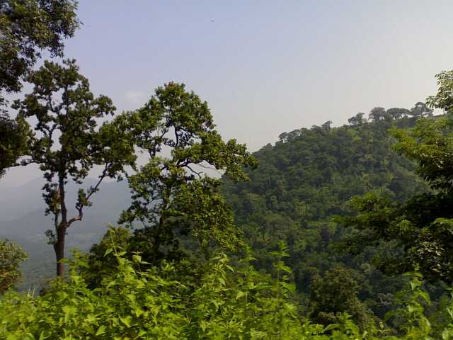 sudesh: pictures of saranda forest