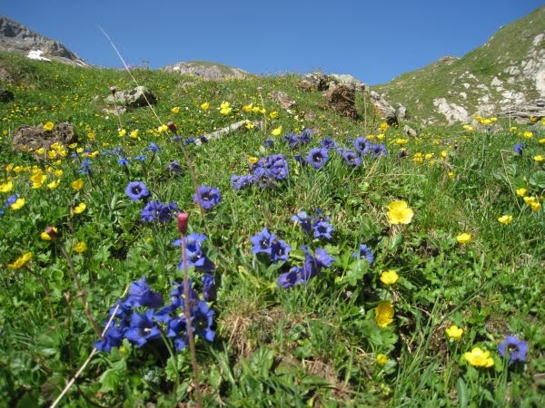 ALP-TRÄUME Südtirol: Piz Rims, 3070 m