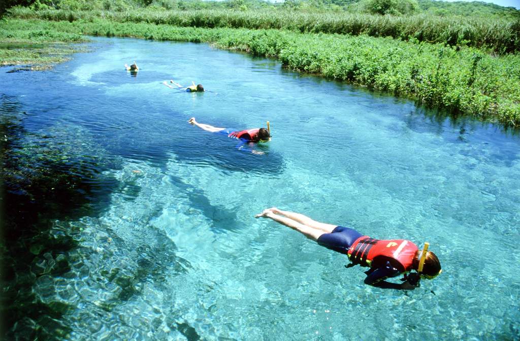 # Rio Sucuri | Bonito - MS | Brasil : Bonito pela 9ª vez o Melhor ...
