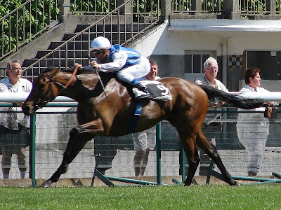 Les chevaux de courses: Goldikova et Byword