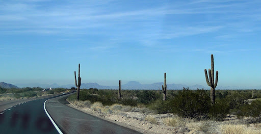 Reflections From the Fence: THE Trip, Tombstone Arizona to Brenda ...