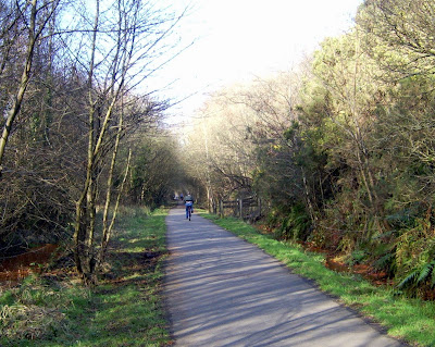 The City With A View: Clyne Valley Cycle Track