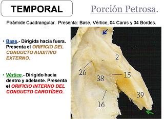 novadens.- Servicios Odontológicos.: Cuatro buenas razones para ...