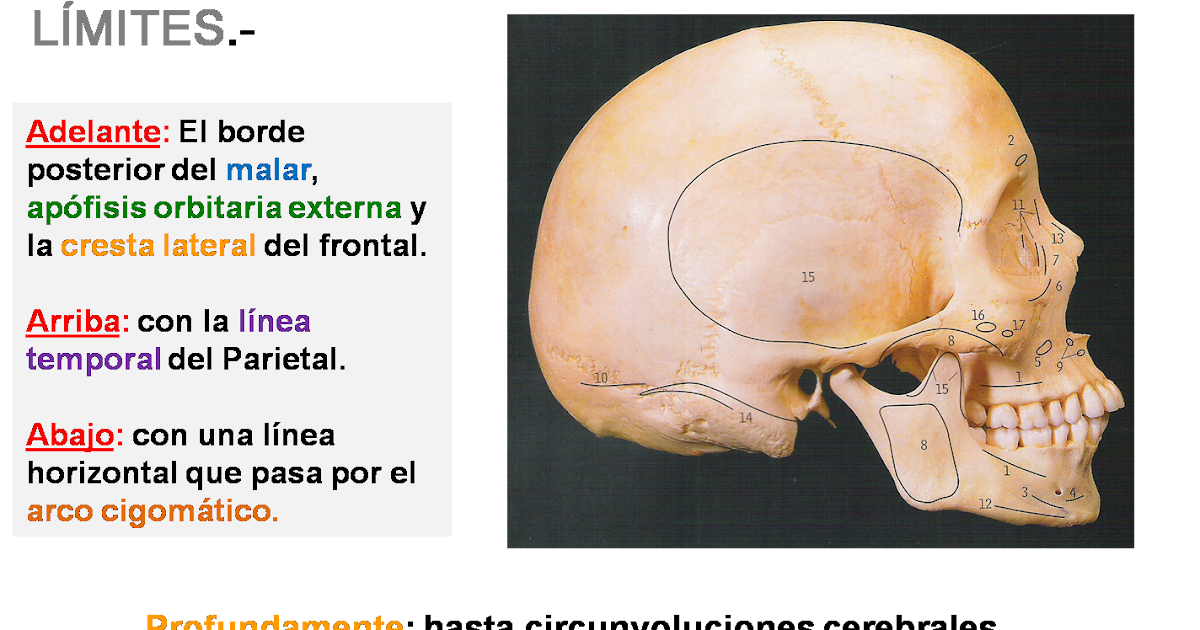 novadens.- Servicios Odontológicos.: Región Temporal.